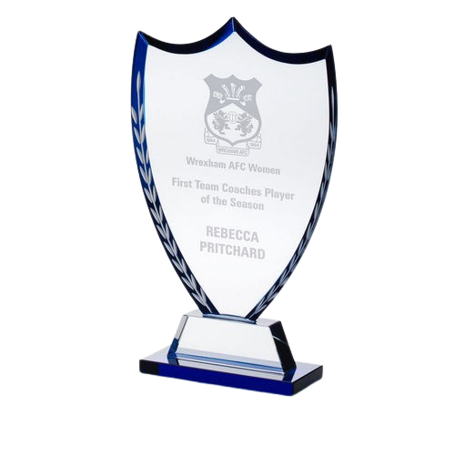 Glass Shield with Blue Edge & Frosted Wreath